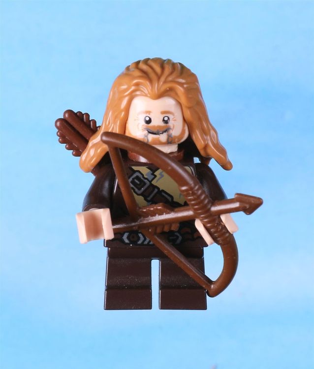 LEGO Hobbit Minifigur - Fili the Dwarf (Gebraucht) in Hettlingen für ...