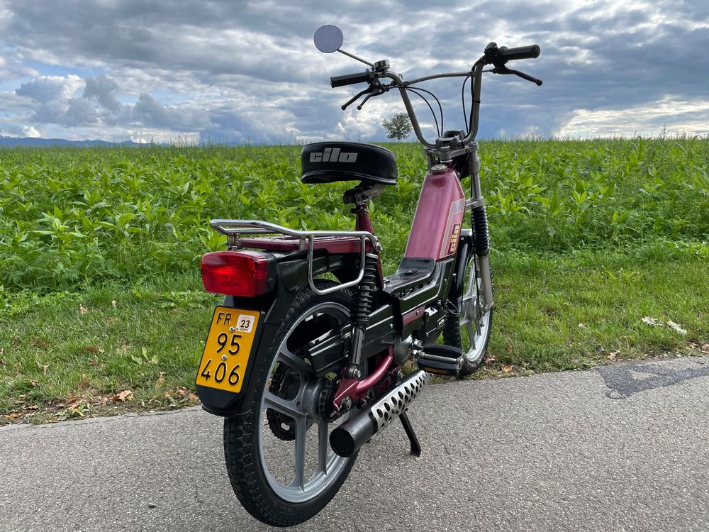 Cilo Wildcat 515 Töffli (Gebraucht) in Wünnewil für CHF 1230 – nur ...