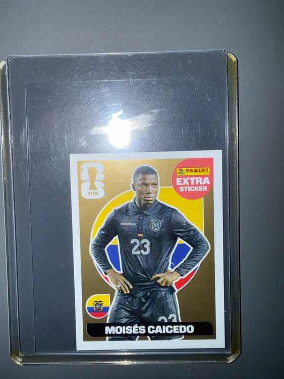 Panini WM 2026 GOLD Caicedo EXTRA Sticker (Neu (gemäss Beschreibung ...