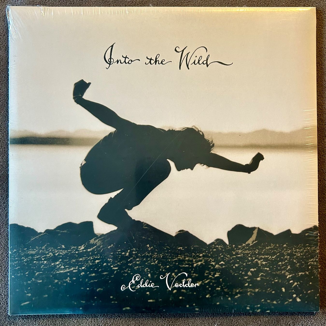 EDDIE VEDDER „Into The Wild“ VINYL SEALED PEARL JAM Repress (Neu und ...
