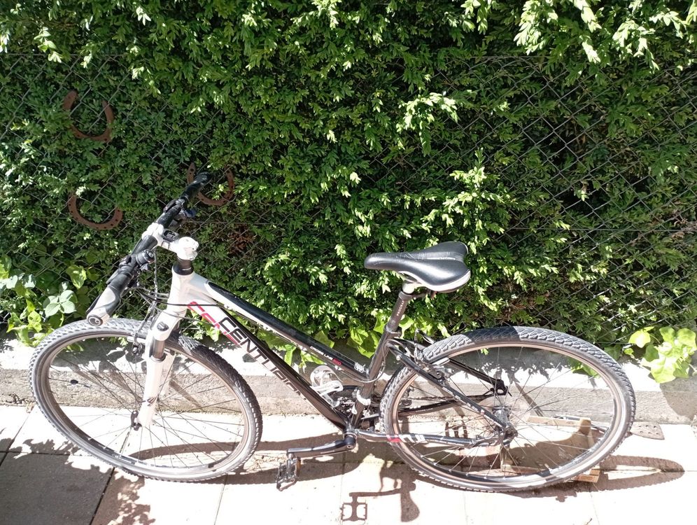 Centurion Cross Line 500 Lady Velo (D'occasion) à Horn pour CHF 100 ...