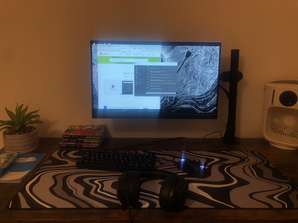 Budget Gaming Setup | Kaufen auf Ricardo