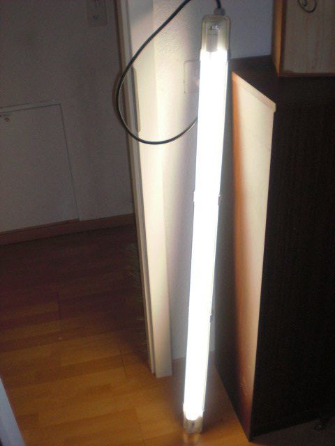 NEONLAMPE 18w (Gebraucht) in für CHF 5 – mit Lieferung auf Ricardo kaufen
