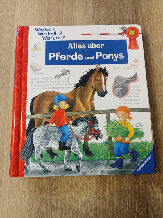 Wieso Weshalb Warum Alles uber Pferde und Ponys (Gebraucht) in ...