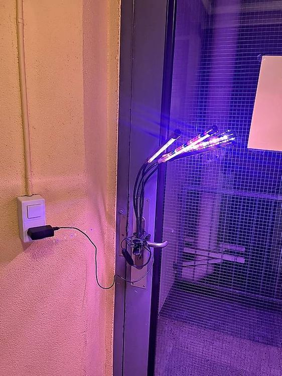 Grow lamp - Full spectrum | 80 LEDs | 4 Heads (Gebraucht) in Zürich für ...