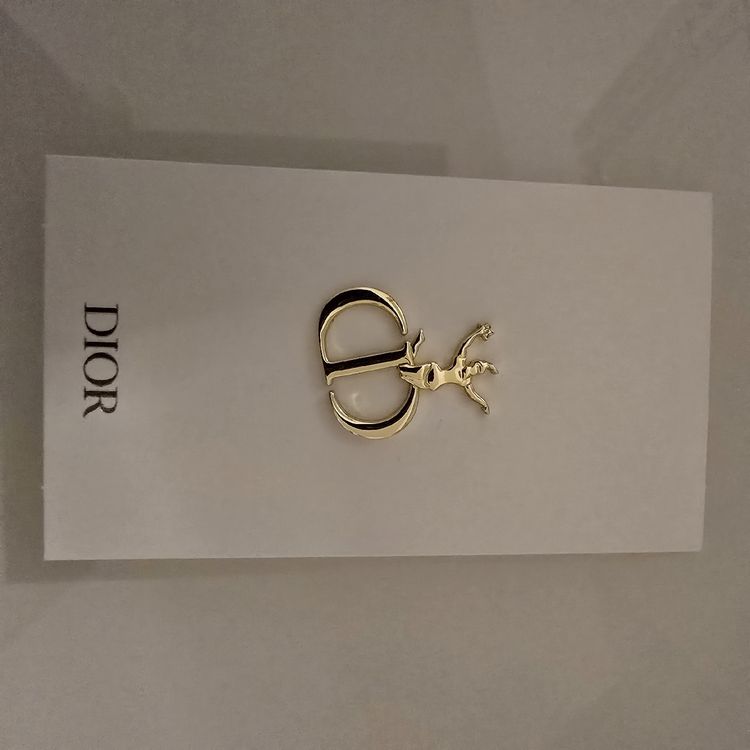 Dior Beauty pin (Neu (gemäss Beschreibung)) in wallisellen für CHF 18 ...