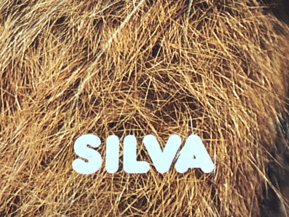 Kinderbuch "Ich bin ein Hase" von Ursula Dolder, Silva (Gebraucht) in ...