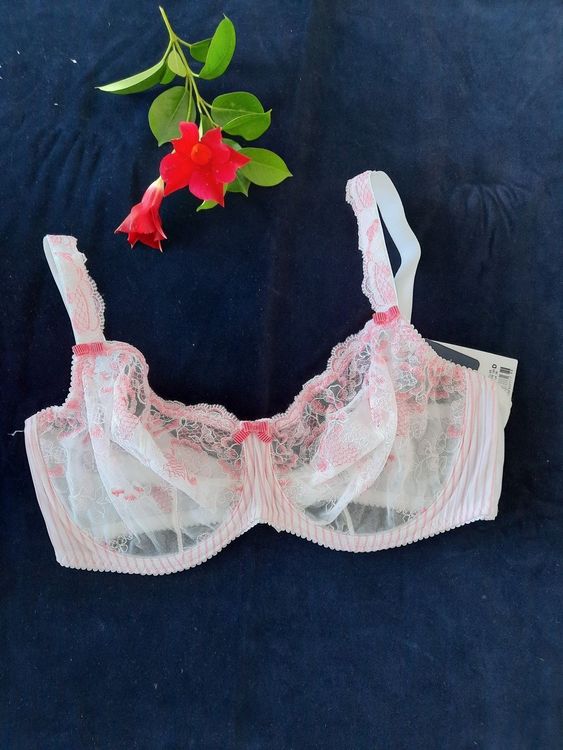 Zart - Primadonna Bü-Bh 85D rosa (Neu und originalverpackt) in Immensee ...
