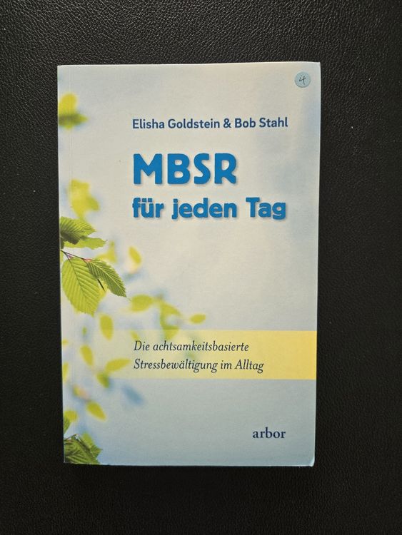 MBSR für jeden Tag, Elisha Goldstein & Bob Stahl | Kaufen auf Ricardo