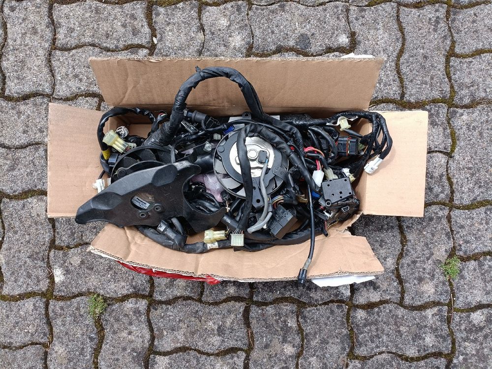 Yamaha YZF-R6 RJ15 orginaler Kabelbaum (Gebraucht) in Rifferswil für ...
