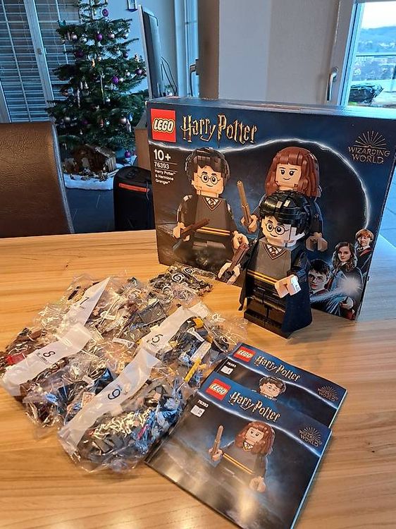LEGO 76393 Harry Potter und Hermione Granger (Gebraucht) in Lutzenberg ...
