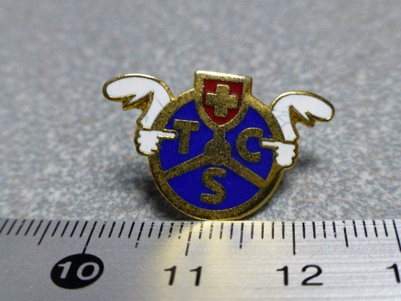 PIN PINS AUTO TCS (Gebraucht) in Gränichen für CHF 1 – mit Lieferung ...
