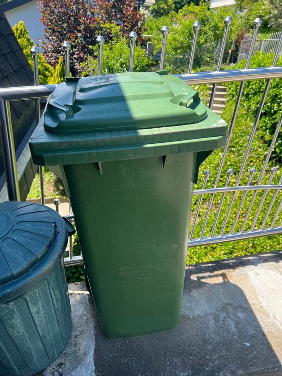 Grüncontainer 140l (Gebraucht) in Hinterkappelen für CHF 10 – nur ...