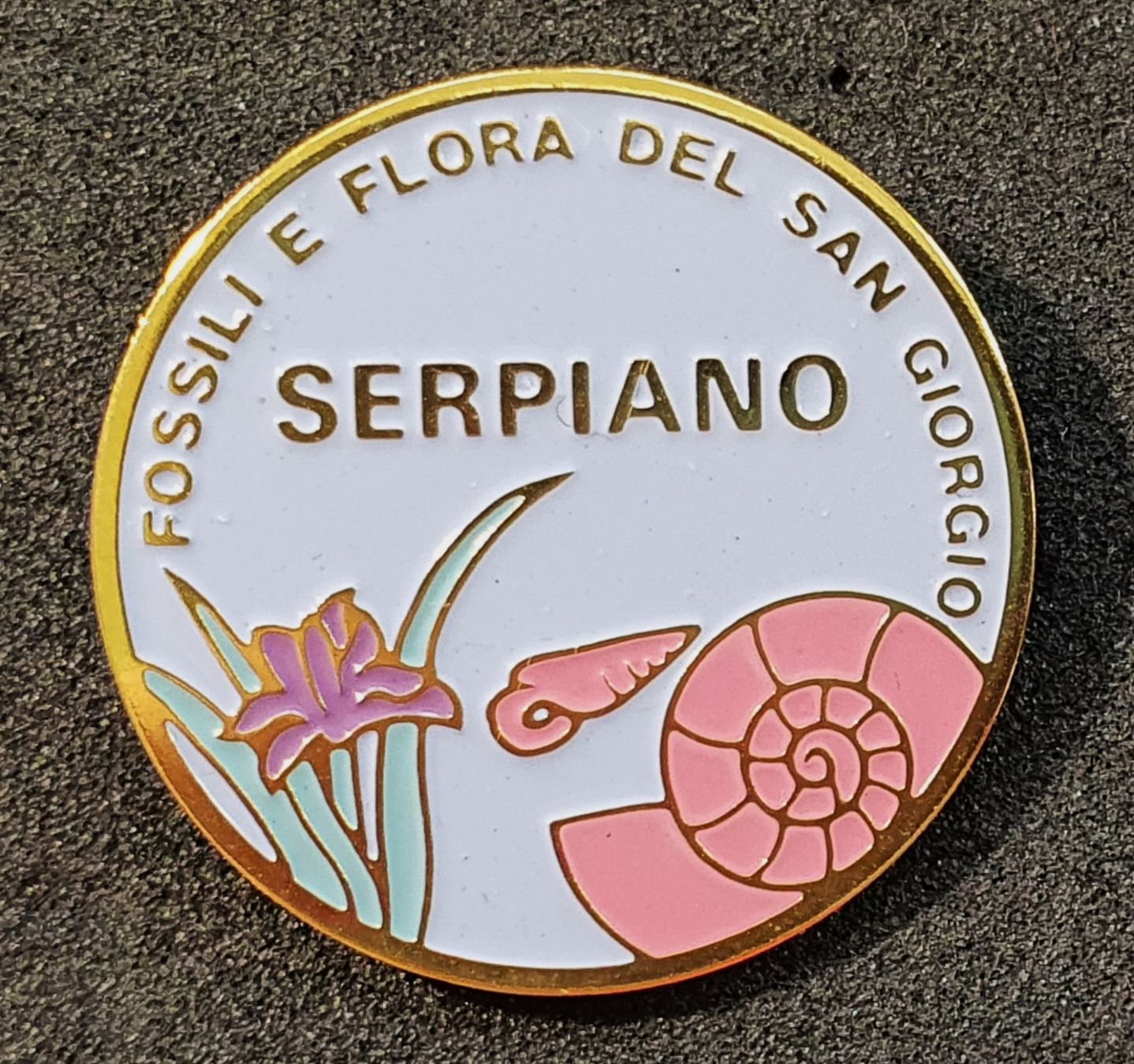 BB067 - Pin Fossili e Flora del San Giorgio Serpiano (Gebraucht) in ...