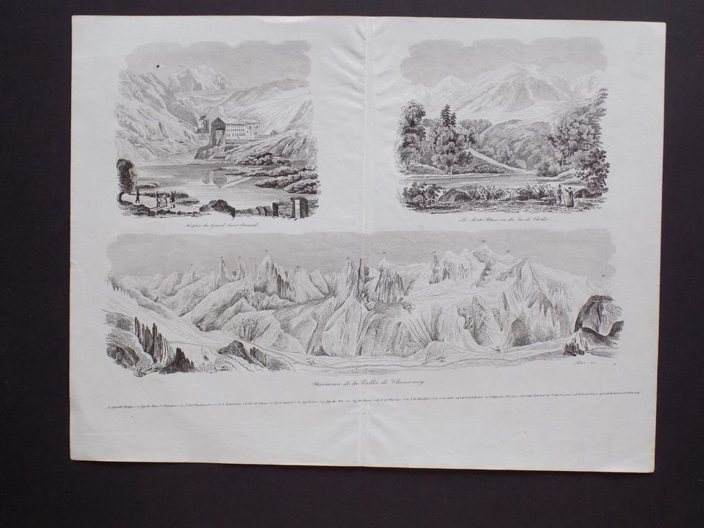 Chamonix Mont Blanc (Gebraucht) in Risch für CHF 60 – mit Lieferung auf Ricardo kaufen