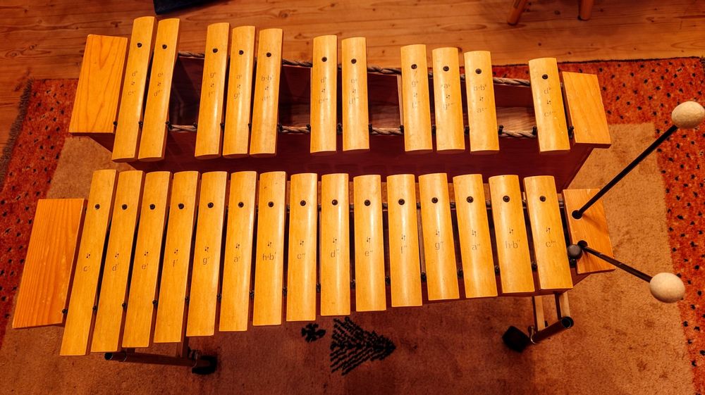 Xylophone Sonor Percussion (Gebraucht) in Bauma für CHF 160 – nur ...