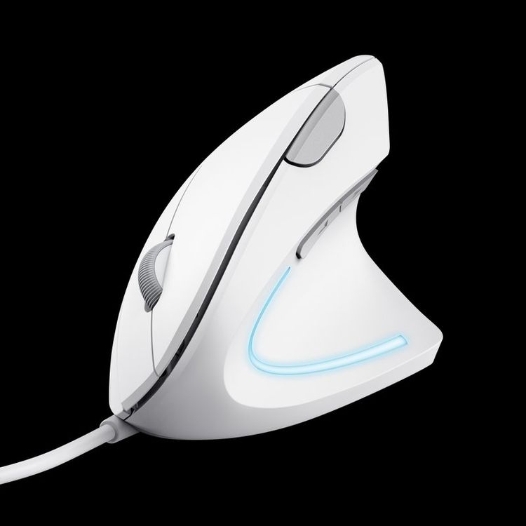 🔥 Schöne TRUST vertikale ergonomische Maus, NEU🔥 (Neu und ...