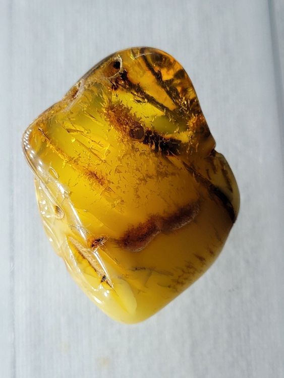 HAMMER Bernstein mit seltenen Inklusen!! Holz Zweige groß (Neu (gemäss ...