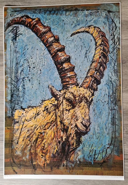 Hug Fritz: Steinbock (Gebraucht) in Röthenbach i. E. für CHF 18 – mit ...