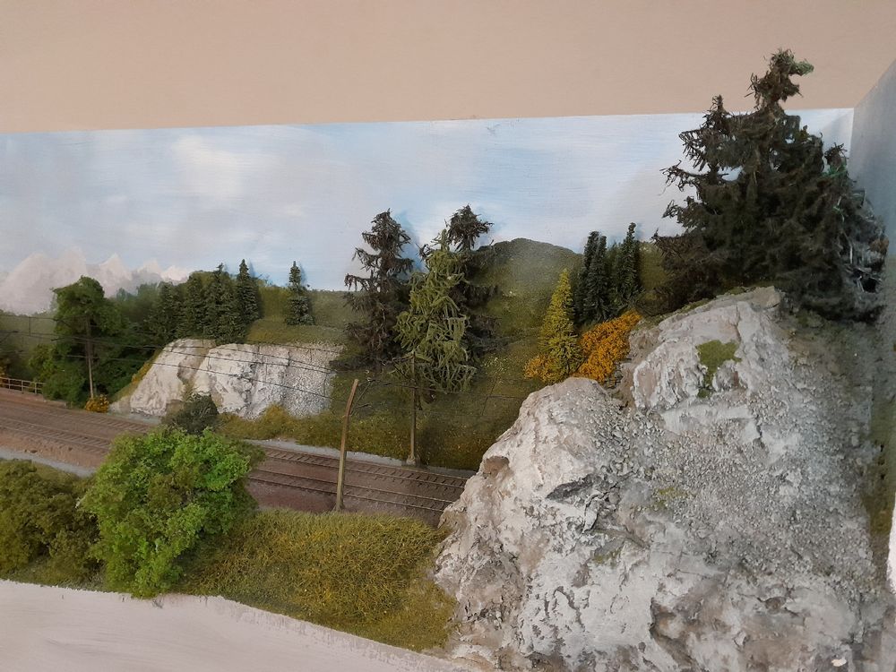 schönes Diorama H0 (Gebraucht) in Eptingen für CHF 162 – nur Abholung ...