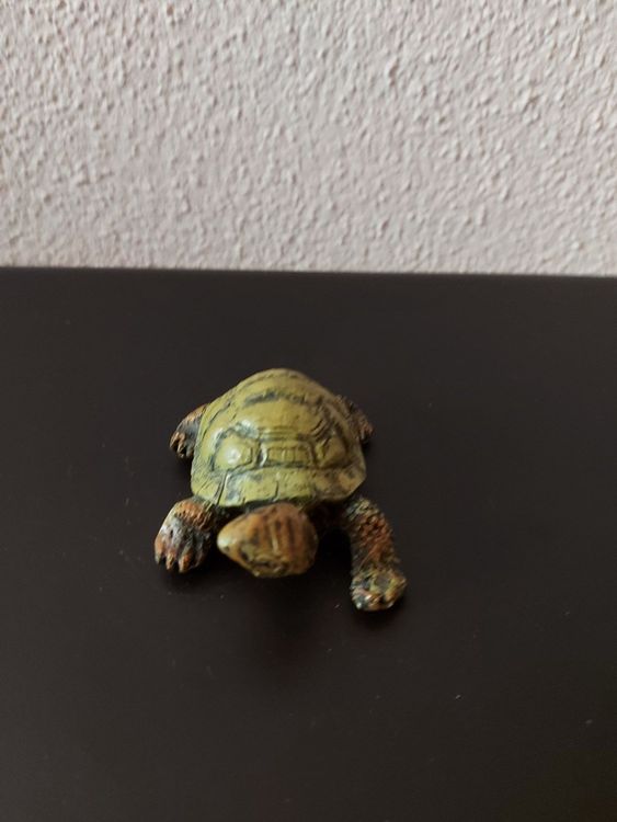 Schildkröte zum Deckorieren | Kaufen auf Ricardo
