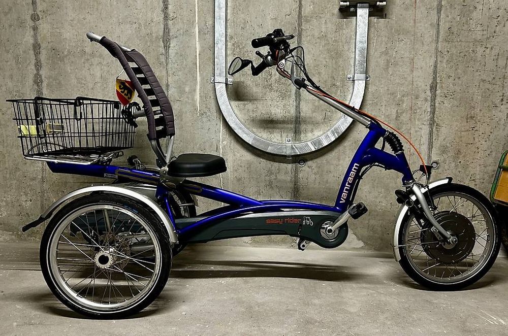 Van Raam Dreirad Easy Rider 2 | Kaufen auf Ricardo