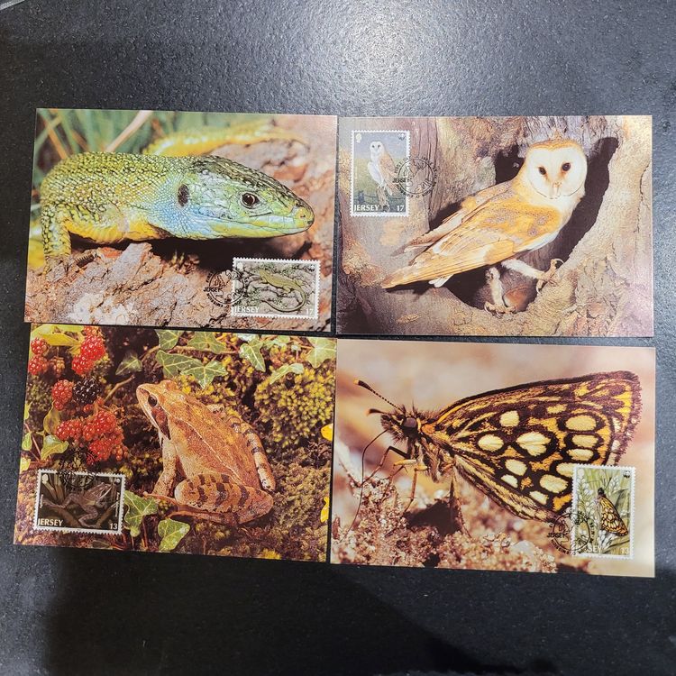 Los Mit 4 Maximum Karten 1989 WWF Jeresy Heteropterus (Gebraucht) in Biel/Bienne für CHF 4 – mit ...