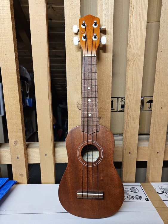 Ukulele | Kaufen auf Ricardo