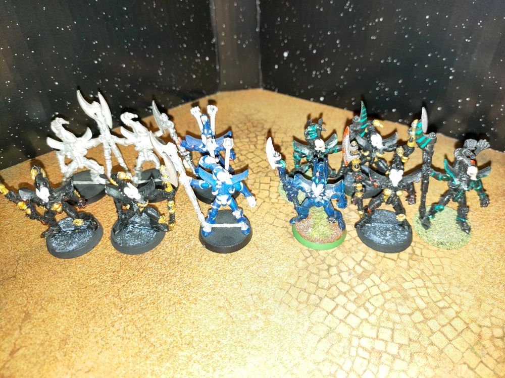 Warhammer 40k Drukhari, Dark Eldar, Krieger, Incubi, Wyches (Gebraucht ...