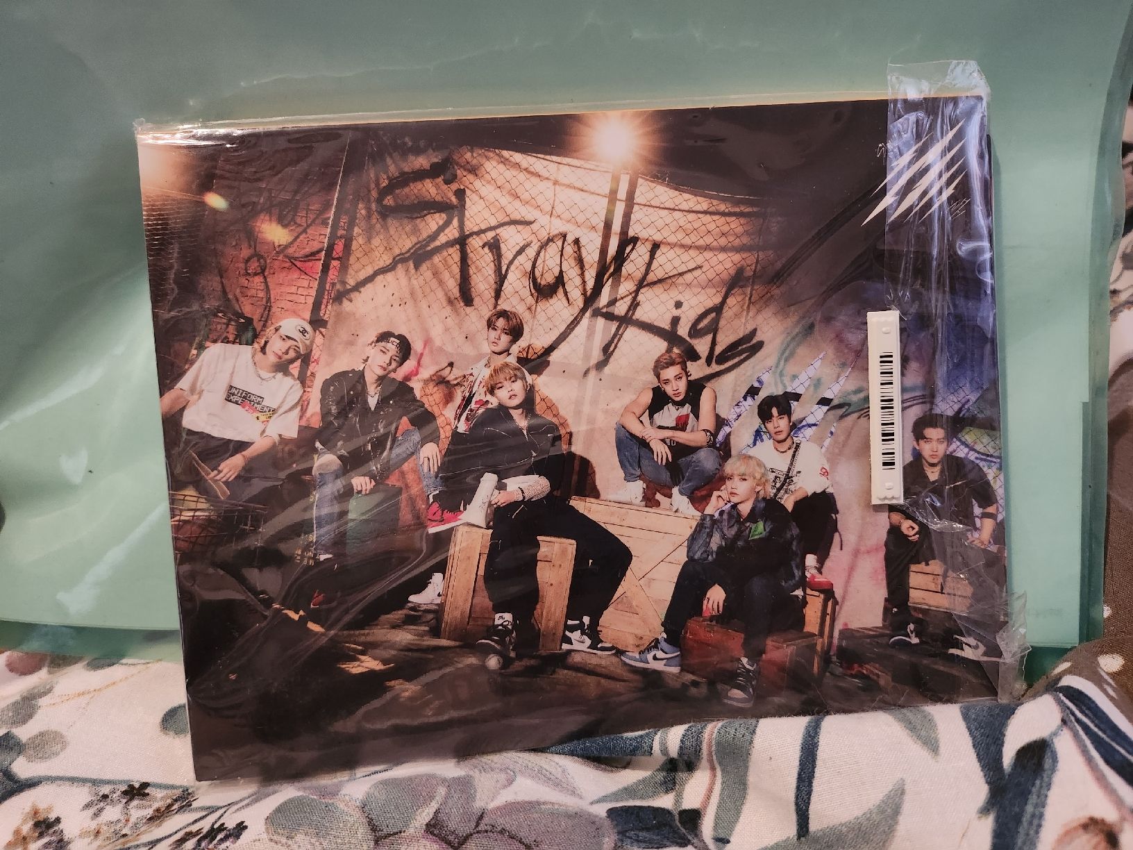 Stray Kids Scars (Neu und originalverpackt) in Rüti ZH für CHF 20 – mit ...