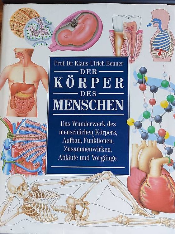 Benner: Der Körper des Menschen | Kaufen auf Ricardo