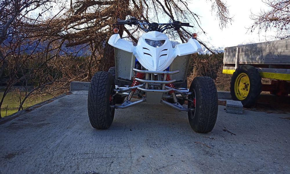 Adly 300 Interceptor | Acheter sur Ricardo