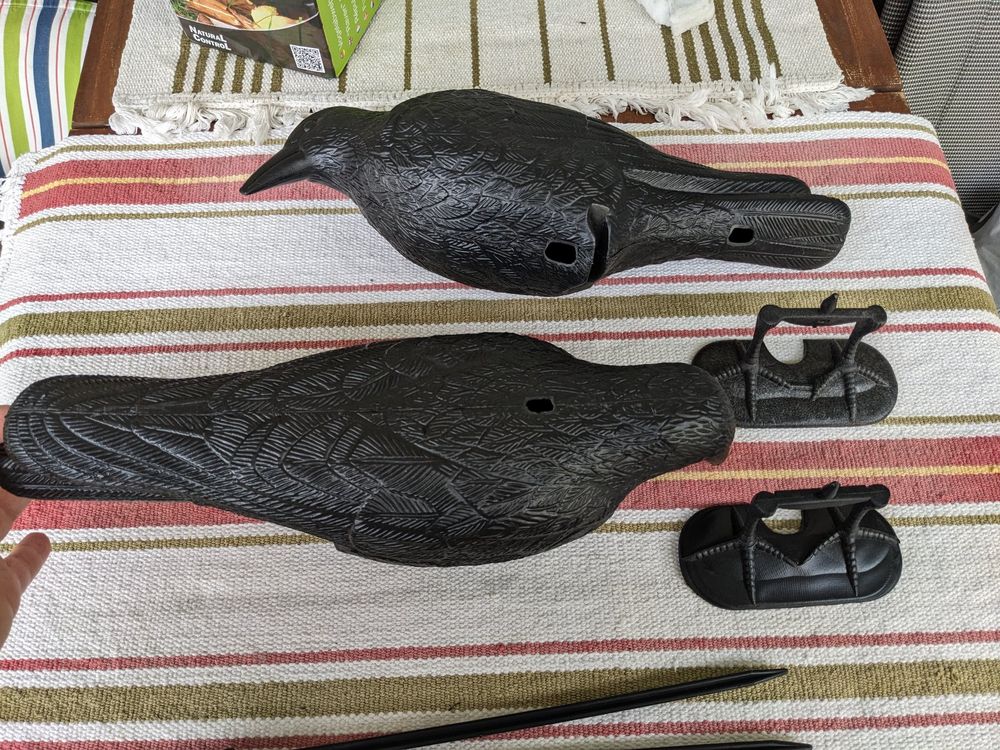 Vogel und Taubenabwehr "Rabe" - Rabe Taubenschreck - 2 St. | Kaufen auf ...