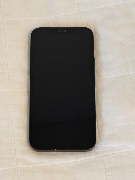 Iphone 12 128Gb gebraucht (Gebraucht) in Pfäffikon ZH für CHF 220 – mit ...