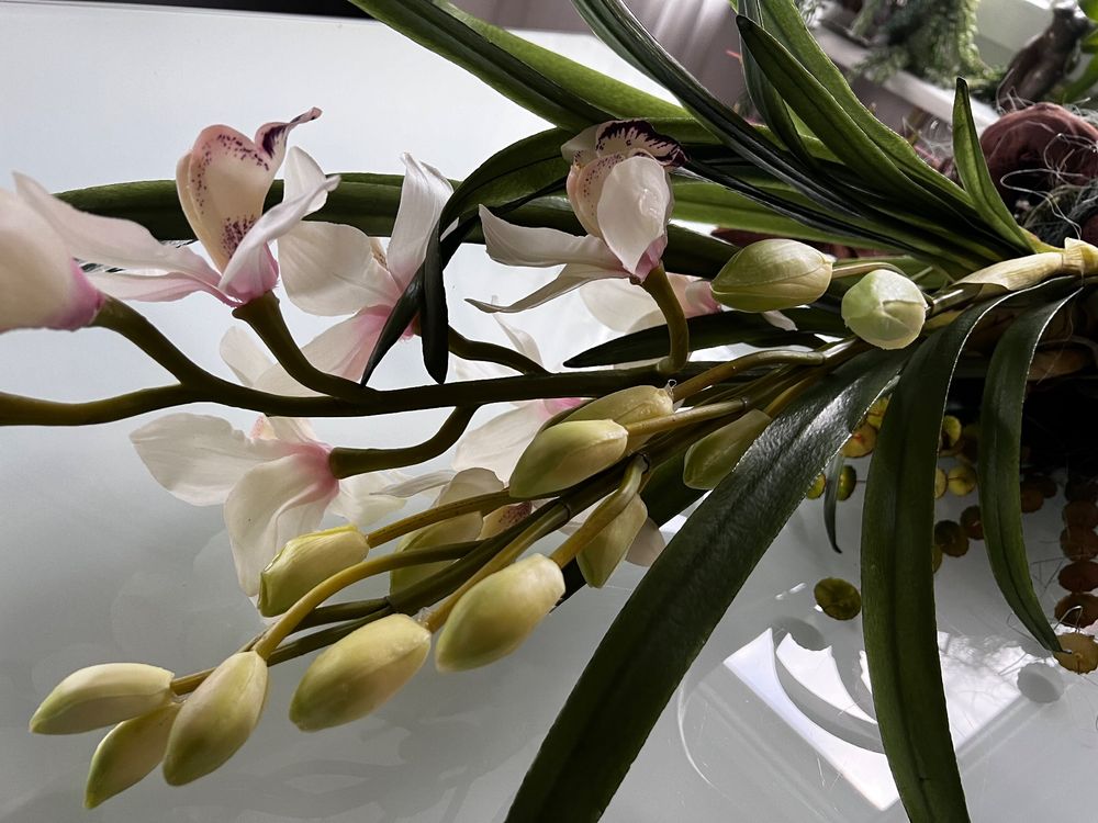 Dekopflanze (Gebraucht) in Winterthur für CHF 20 – nur Abholung auf Ricardo kaufen