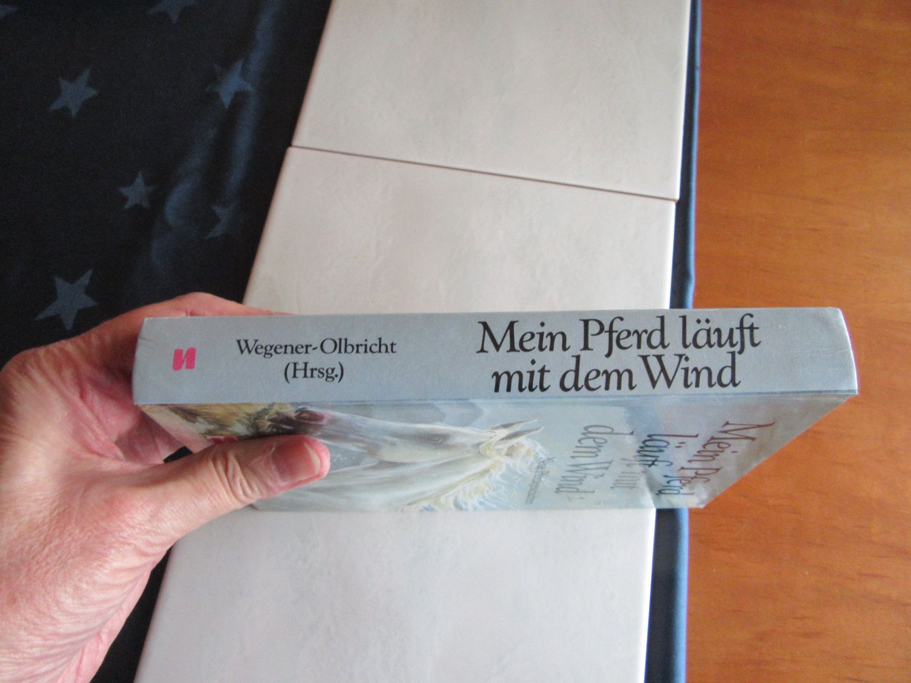 Mein Pferd läuft mit dem Wind - Neue Pferdegeschichten (Gebraucht) in ...