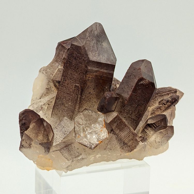 HÄMATIT-QUARZ ROT, Farbe ROT dunkel natürlich (Neu (gemäss Beschreibung)) in Balerna für CHF 79 ...