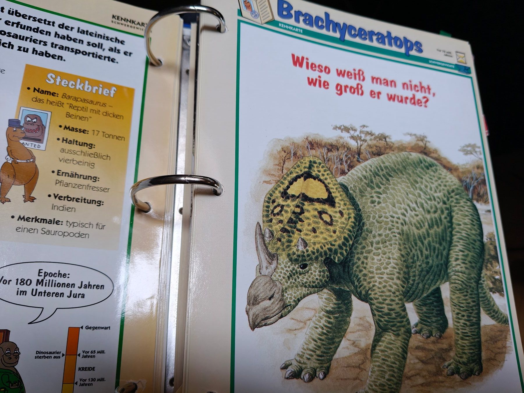 Dino Sammlung XXL -Die Welt der Dinosaurier 2x Atlas Ordner (Gebraucht ...