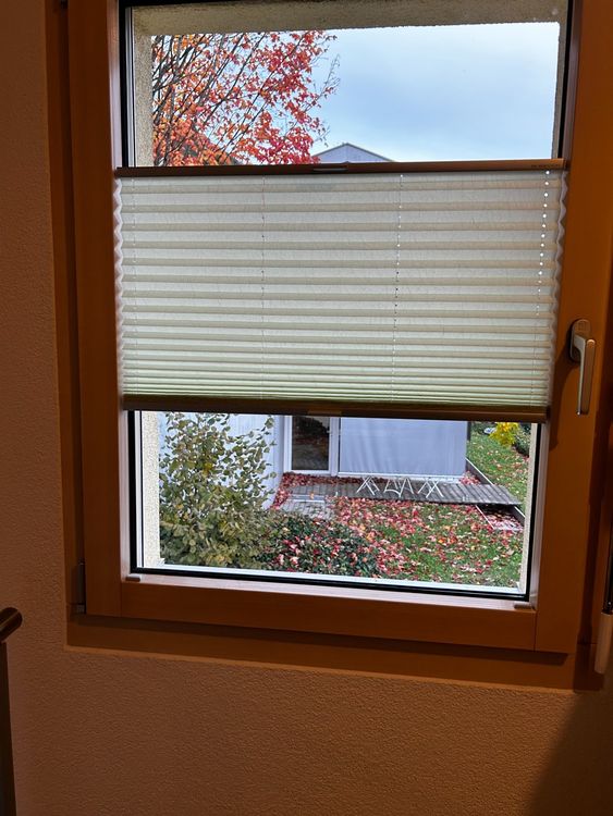 Plissee new shades Pastell Grün 712 x 977mm Storen Fenster (Neu und originalverpackt) in ...