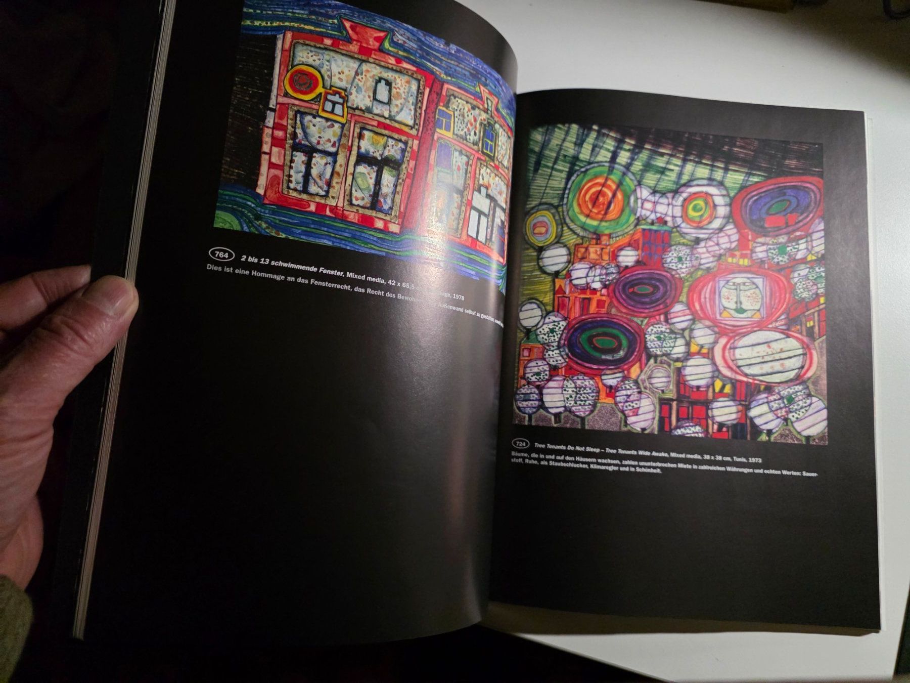 Hundertwasser - Der Maler König mit den fünf Häuten 1998 (Gebraucht) in ...