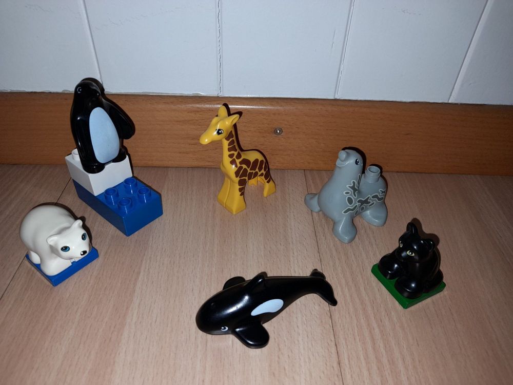 Lego Duplo Tierbabys 2659 Klassiker (Gebraucht) in Rorschacherberg für CHF 13 – mit Lieferung ...
