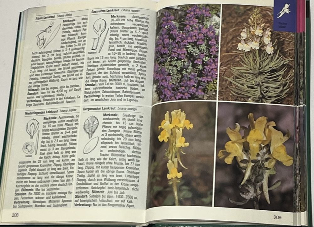 Alpenblumen bestimmen - Naturführer für Wanderer top! (53) (Neu (gemäss ...