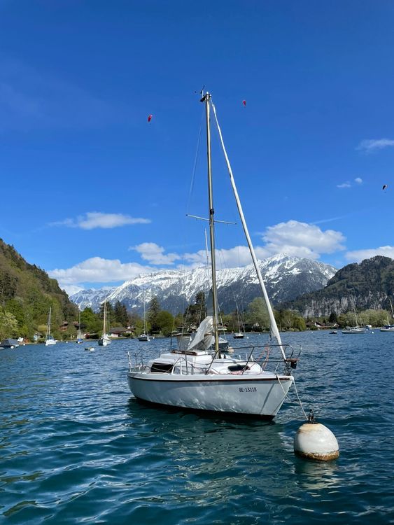 Segelboot Neptun 20 mit Anhänger (Gebraucht) in Scharnachtal für CHF ...