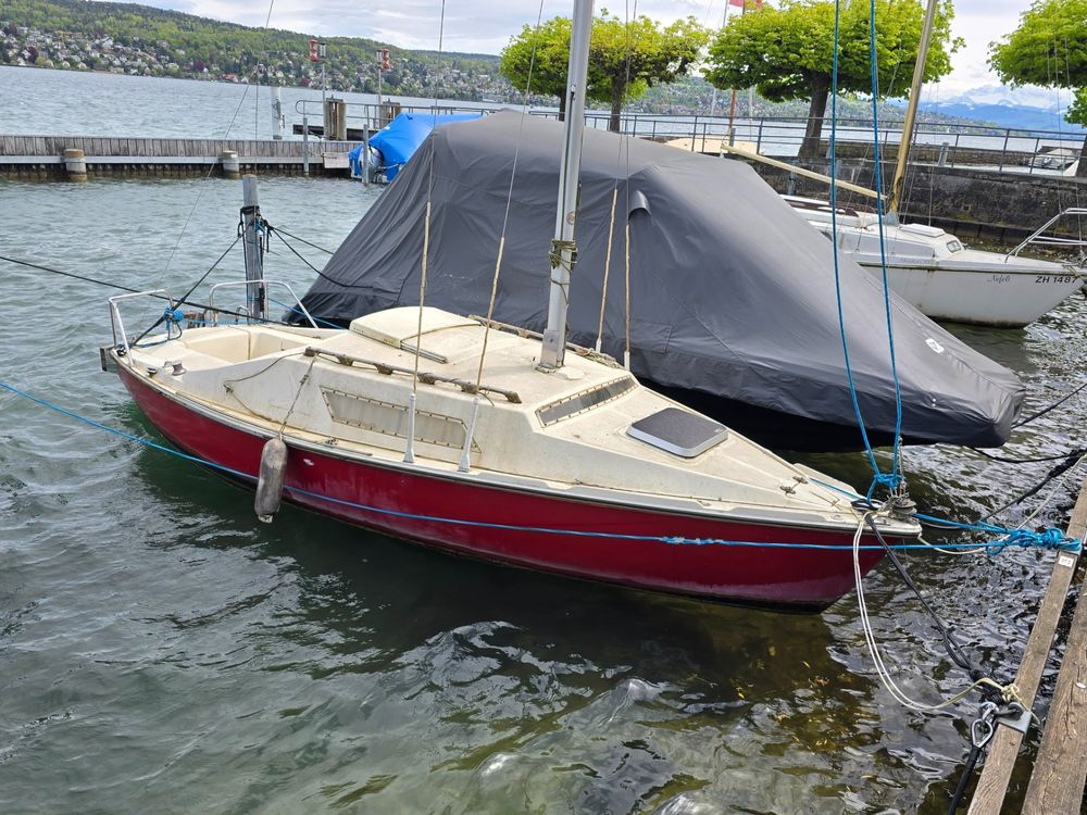 Segelboot BWC FlyCruiser | Kaufen auf Ricardo