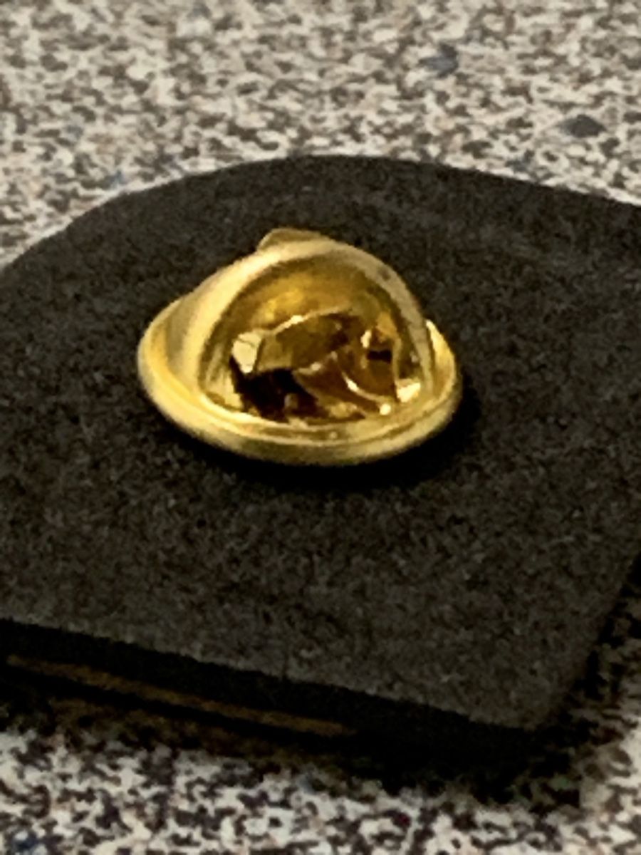 Fake - PIN „1g Fine Gold“ (Kein echtes Gold!!!) (Gebraucht) in Wangen b ...