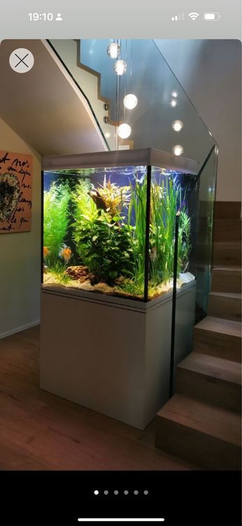 Aqarium Cube von Aquartiste (Gebraucht) in Balzers für CHF 3000 – nur ...