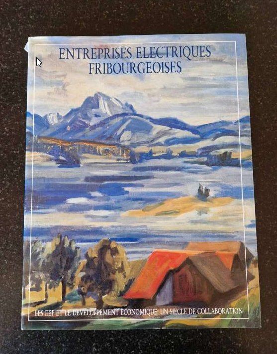 Les EEF et le développement économique (Gebraucht) in Vuadens für CHF ...