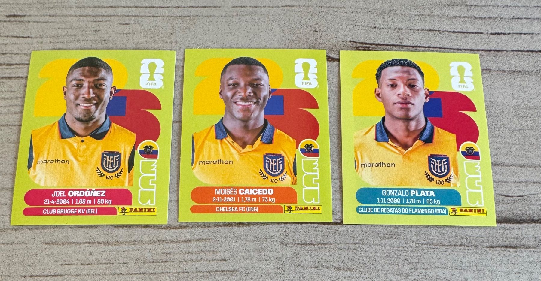 Panini FIFA World Cup WM 2026 - ECUADOR - ECU 8 - 9 - 16 (Neu und ...