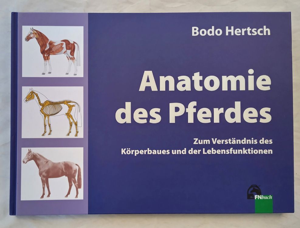Anatomie des Pferdes - Bodo Hertsch - Sehr guter Zustand (Gebraucht) in ...