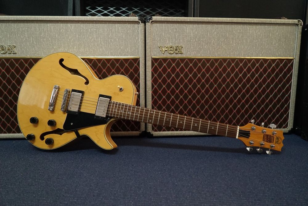 Hondo Deluxe Series H937 semi hollow body electric guitar | Acheter sur ...